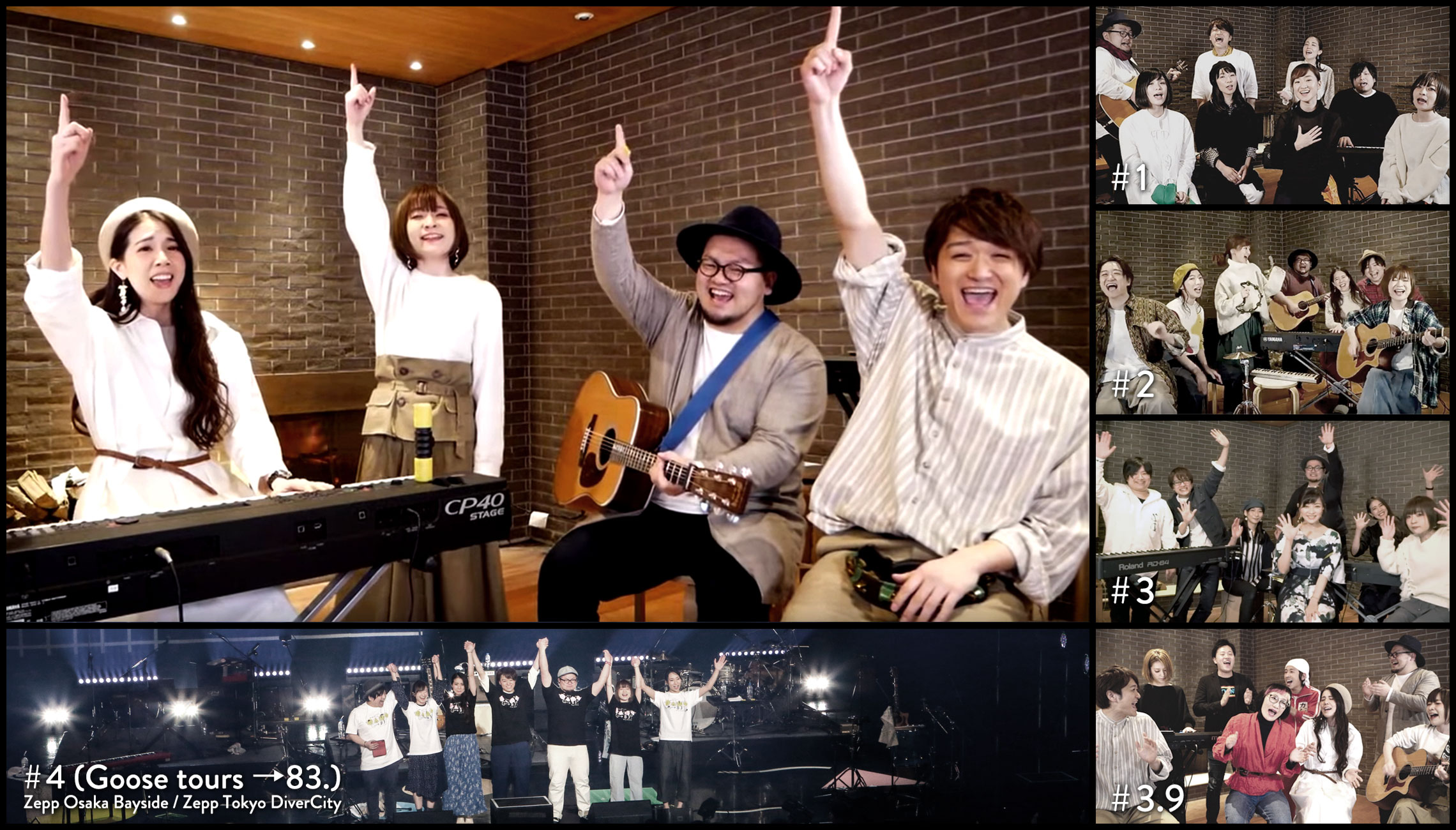 Play.Goose Official Web